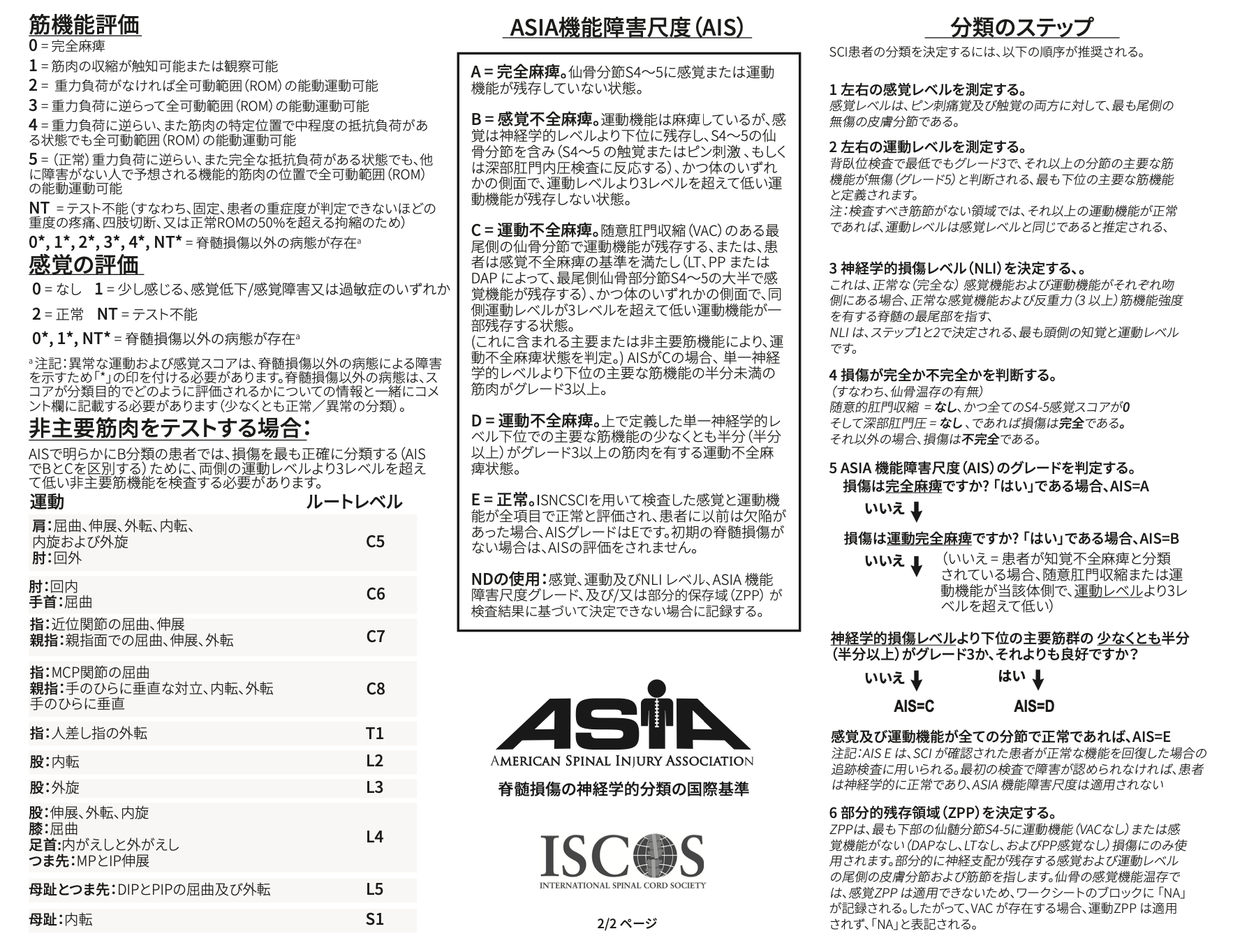 脊髄損傷（SCI：spinal cord injury） – Dr.Gajumaruのメディカルワークアウト